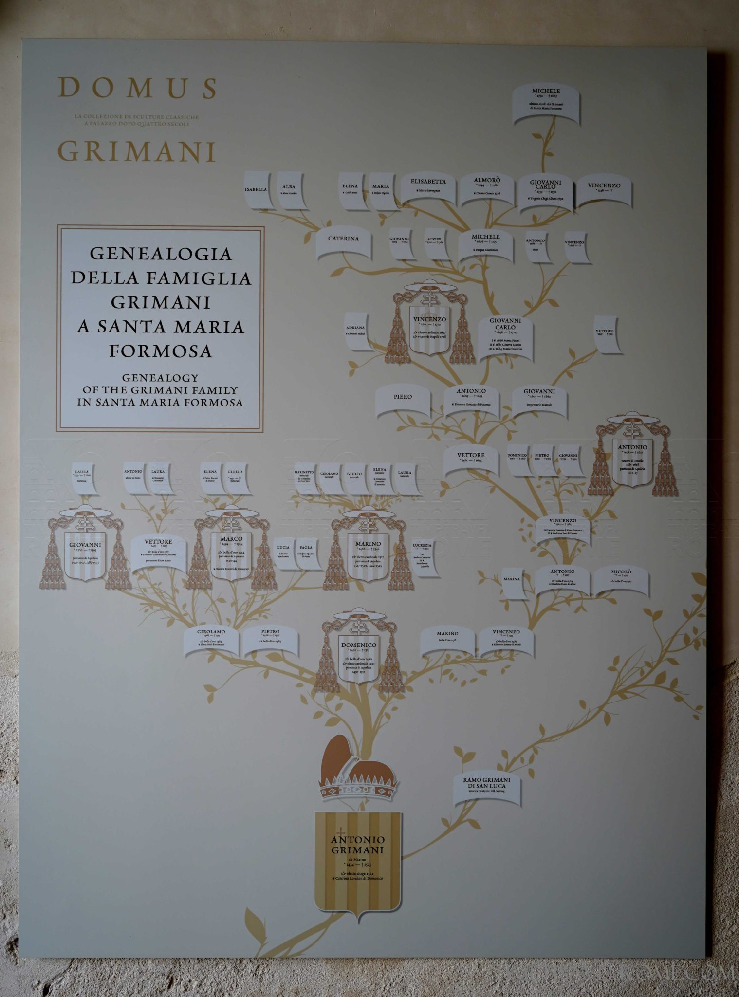 Domus Grimani Exhibition & History of the Collection – Time Travel Rome